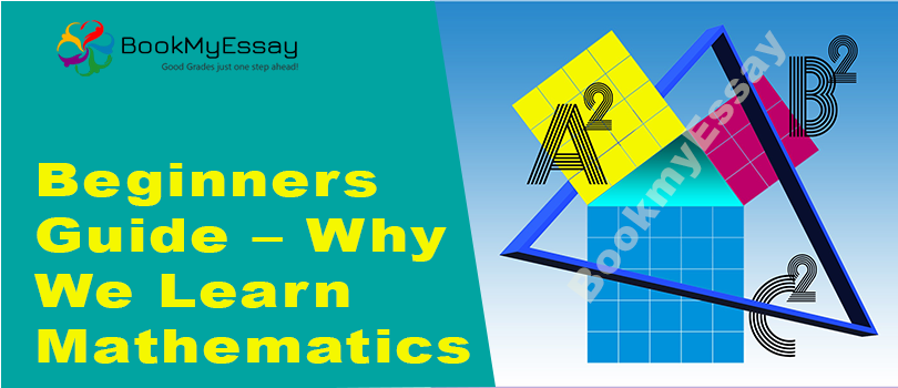 Beginners Guide - Why We Learn Mathematics