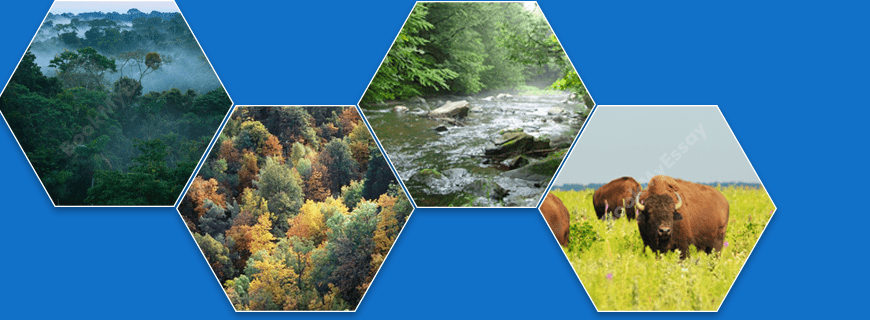 Natural Ecosystems and Human Activites Assignment Help? Contact ...