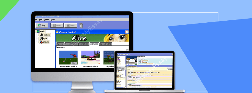 Professional Alice Assignment Help (3D Programming Environment)