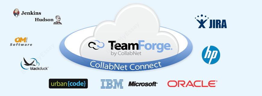 Collabnet Teamforge Assignment Help | Case Study Help on Collabnet ...