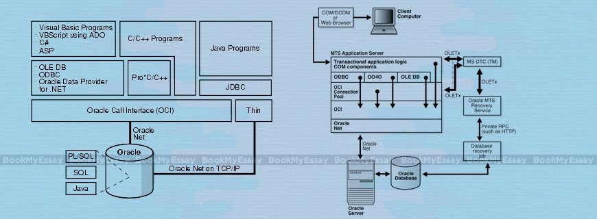 Oracle Programming Assignment Help Database Management System 0756