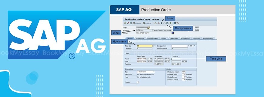 Get Up-To 10% off on SAP AG Assignment Help and Writing Services