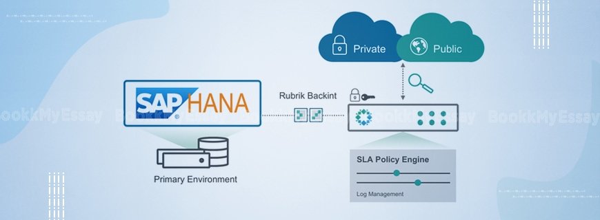 Proficient SAP Hana Assignment Help for College/University Students