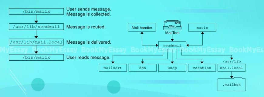 100% Original and Unique Sendmail Assignment Help | Online Writing Help