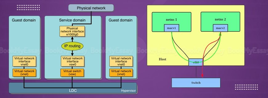Virtnet and Topology Expert Help by BME Experts is a Boon